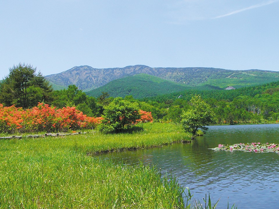 貸別荘 浅間リゾート・イン （定員7人用）｜貸別荘コテージ・ヴィラ宿泊予約はTABILMO(タビルモ)